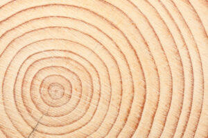 How to Get Your Timbers Graded or Stamped for Timber Framing - Timber ...