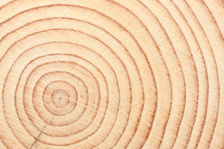 How to Get Your Timbers Graded or Stamped for Timber Framing - Timber ...